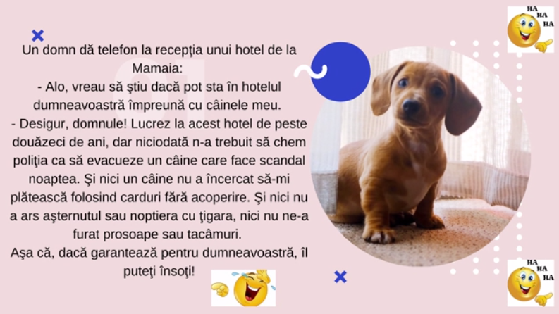 Bancuri cu animale – Laivindur